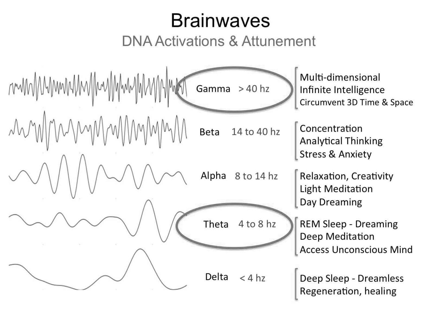 Mind Control | TEFLONRABBIT Intelligence repo